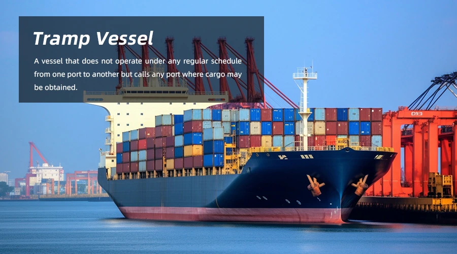 Tramp Vessel - What is Tramp Vessel?